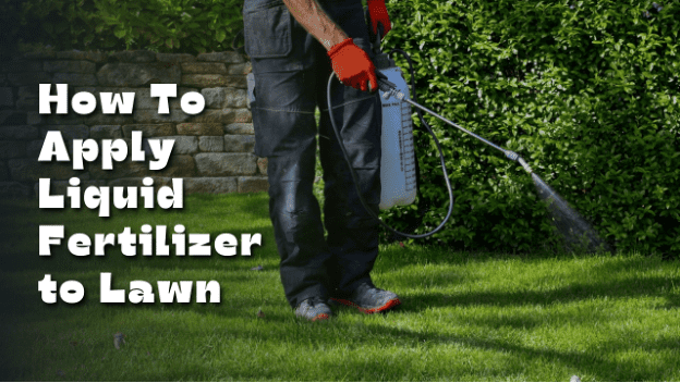 How To Apply Liquid Fertilizer to Lawn? - Lawn Growth